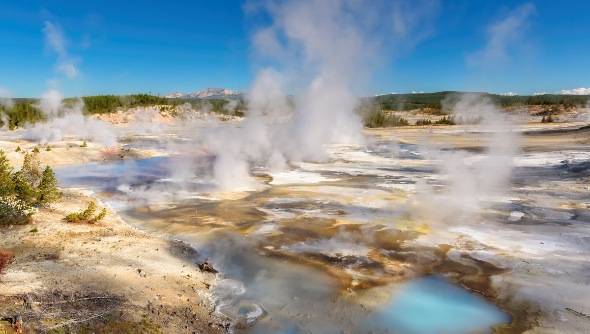 World-First Discovery Reveals How The Third Domain Of Life Makes Energy ...