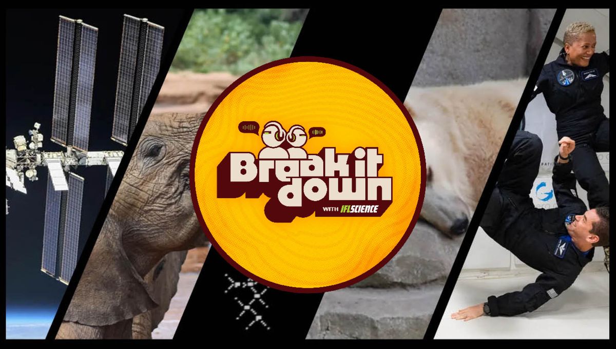 Corpse Flowers, Grolar Bears, And “Alien Signals” From Mars | IFLScience