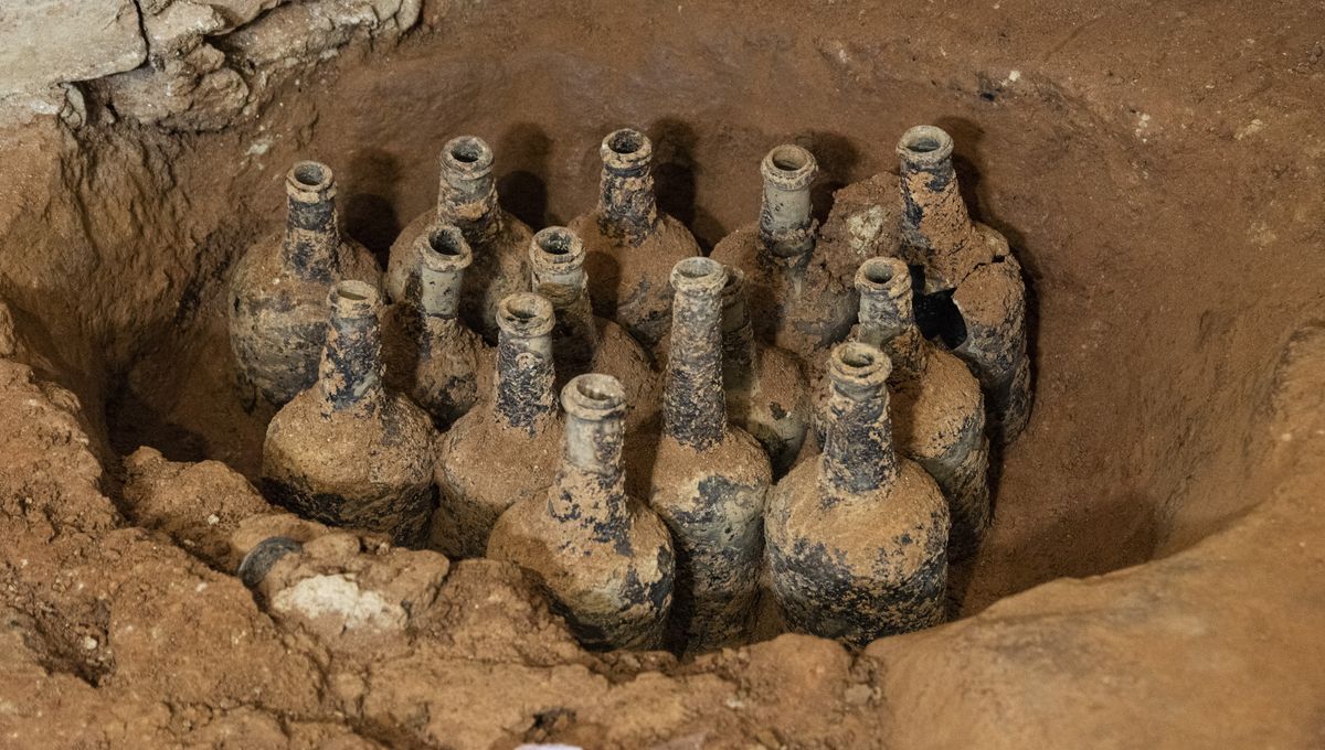 “Perfectly Preserved” 250-Year-Old Fruit Unearthed In George Washington ...