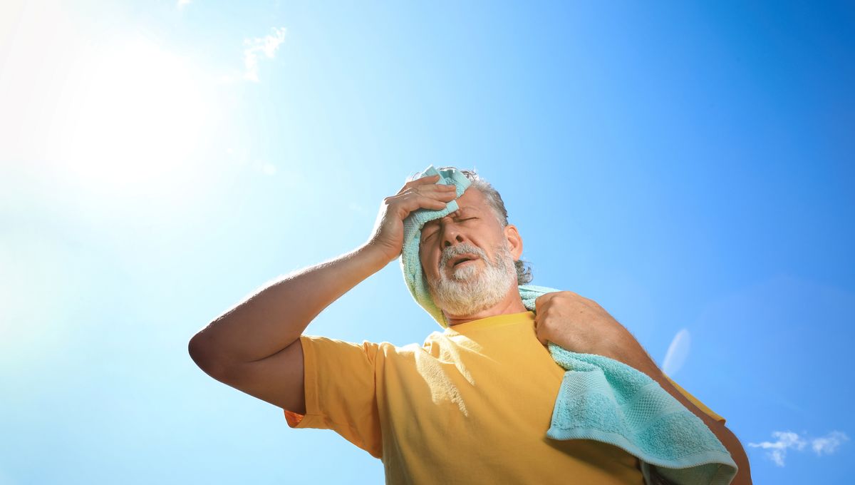 What Happens When The Body Overheats? | IFLScience