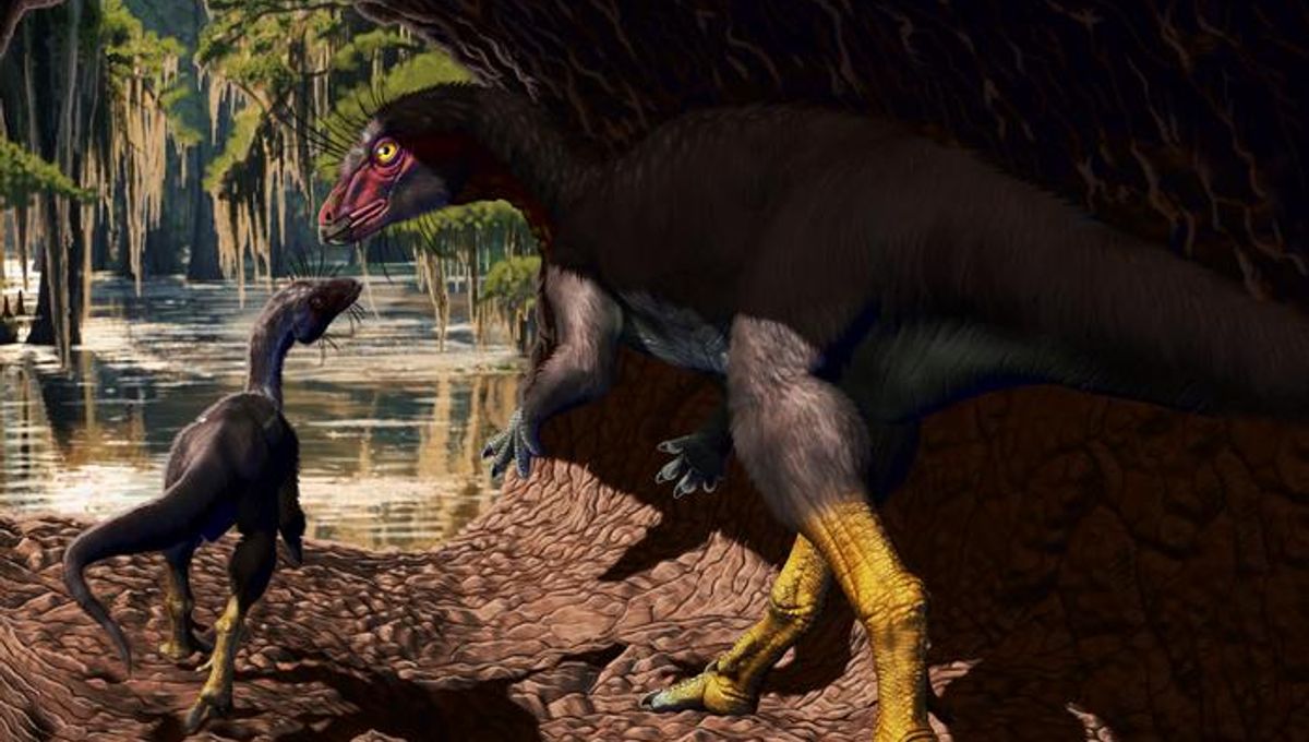 99-Million-Year-Old Fossils Reveal Some Dinosaurs Burrowed Underground ...
