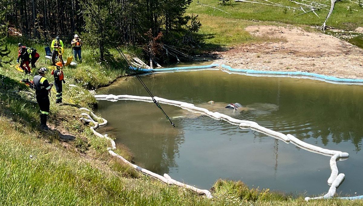 Five People Drive Into A Hot Acidic Lake In Yellowstone Park | IFLScience