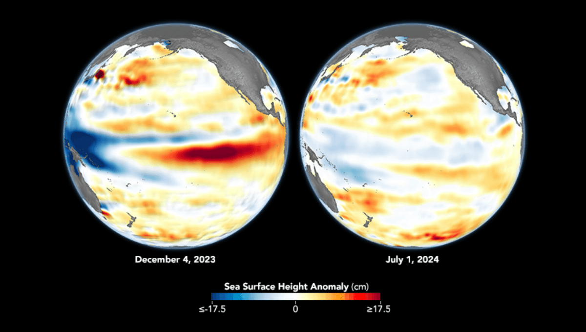 The Rise And Fall Of El Niño Shown In Beautiful Maps By NASA | IFLScience