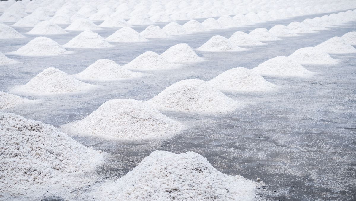 What Is The Salt Cycle, And What's Going Wrong With It? | IFLScience