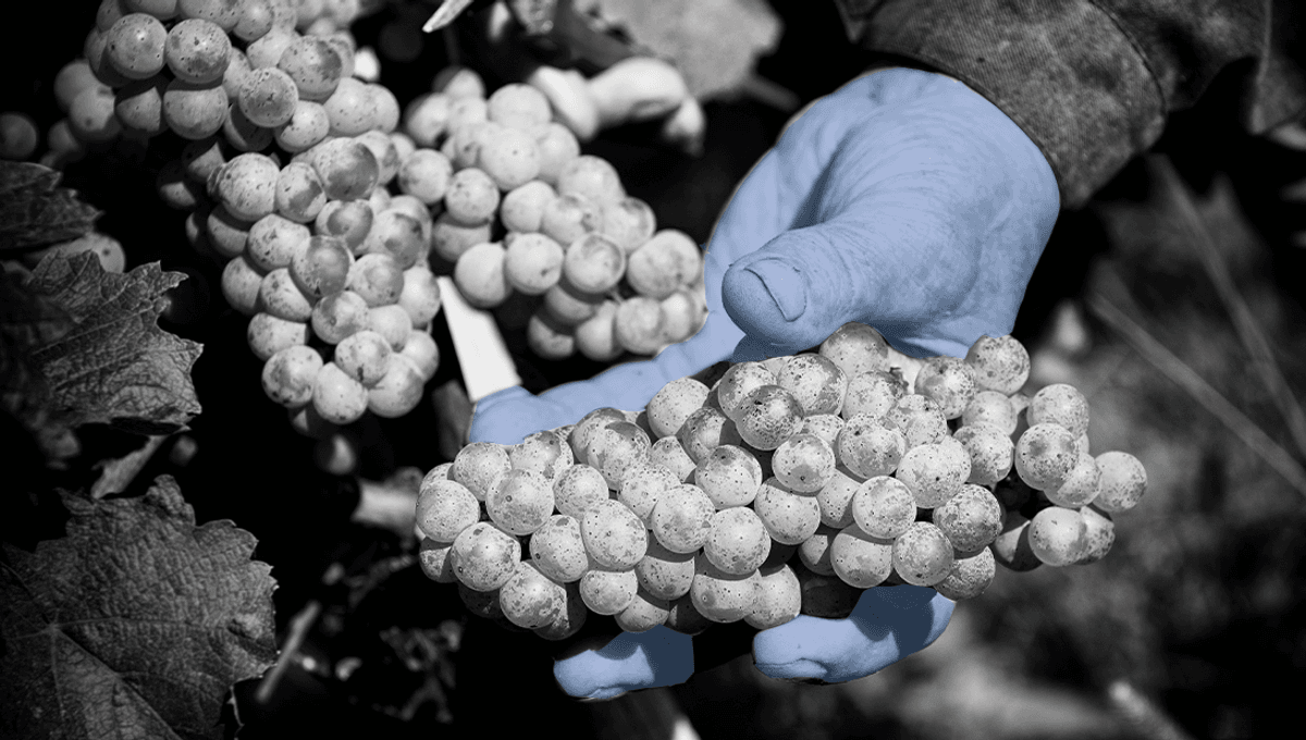 Blue Fugates: Why Did A Family In Kentucky Have Blue Skin? | IFLScience