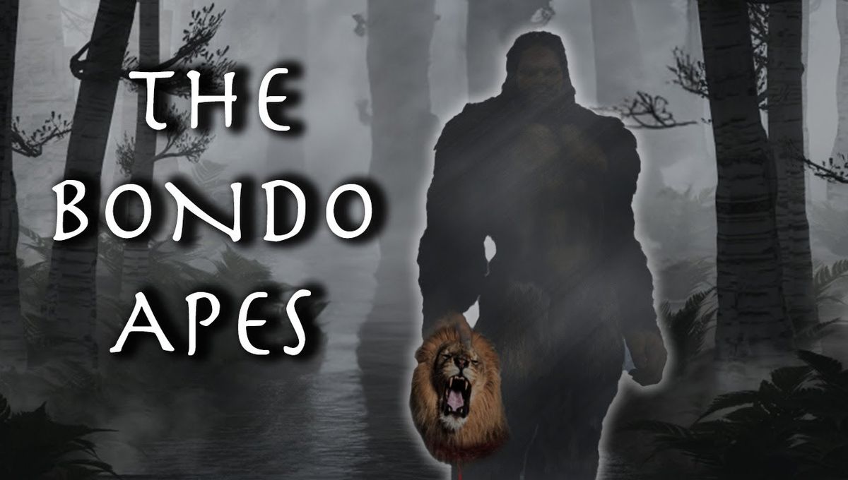 Legends Of The Bondo Apes: Are They Giant Ferocious Lion Killers? | Video | IFLScience
