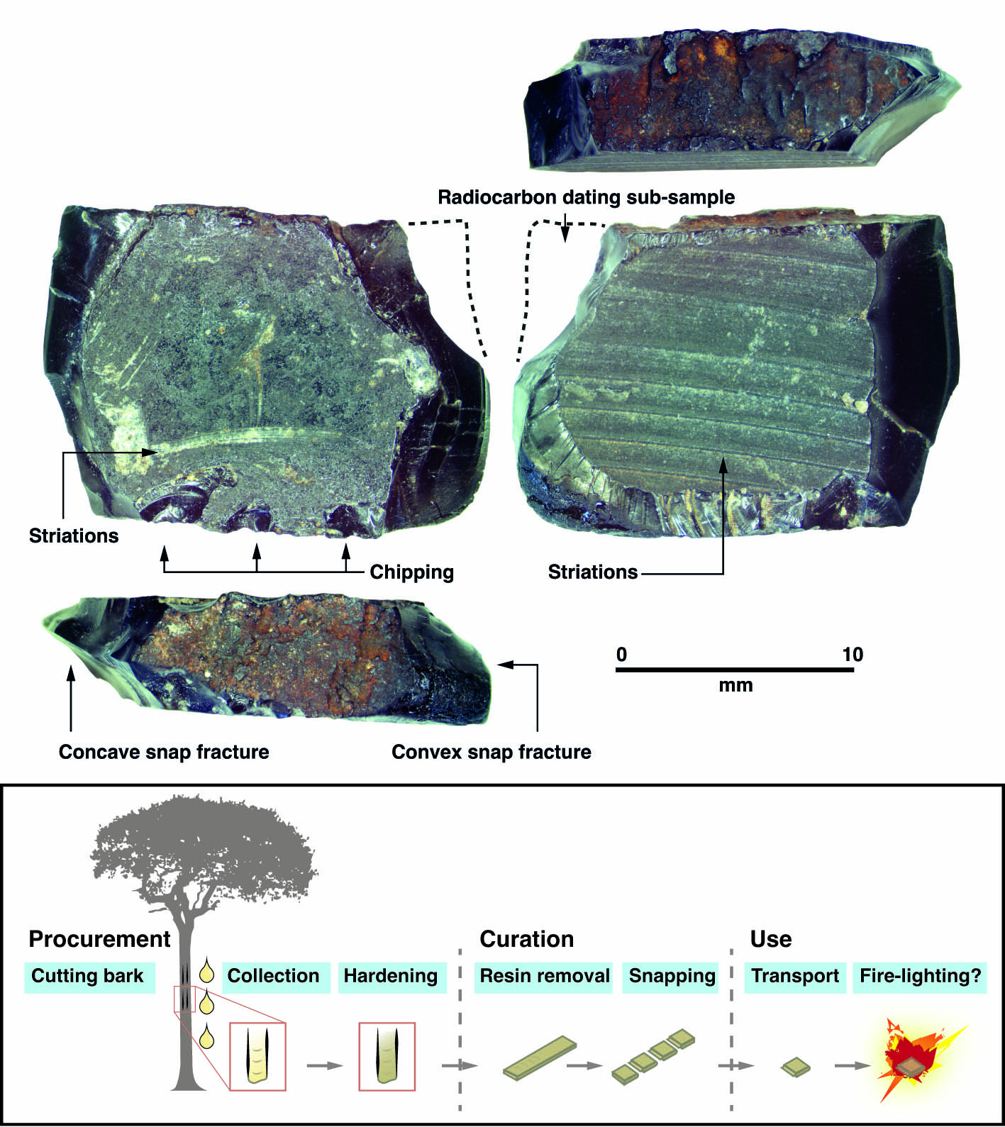 This Tiny Piece Of Resin Just Rewrote The History Of The Pacific ...