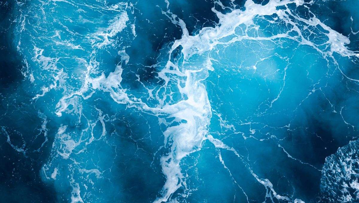 Ocean Vs. Sea: What’s The Difference? | IFLScience