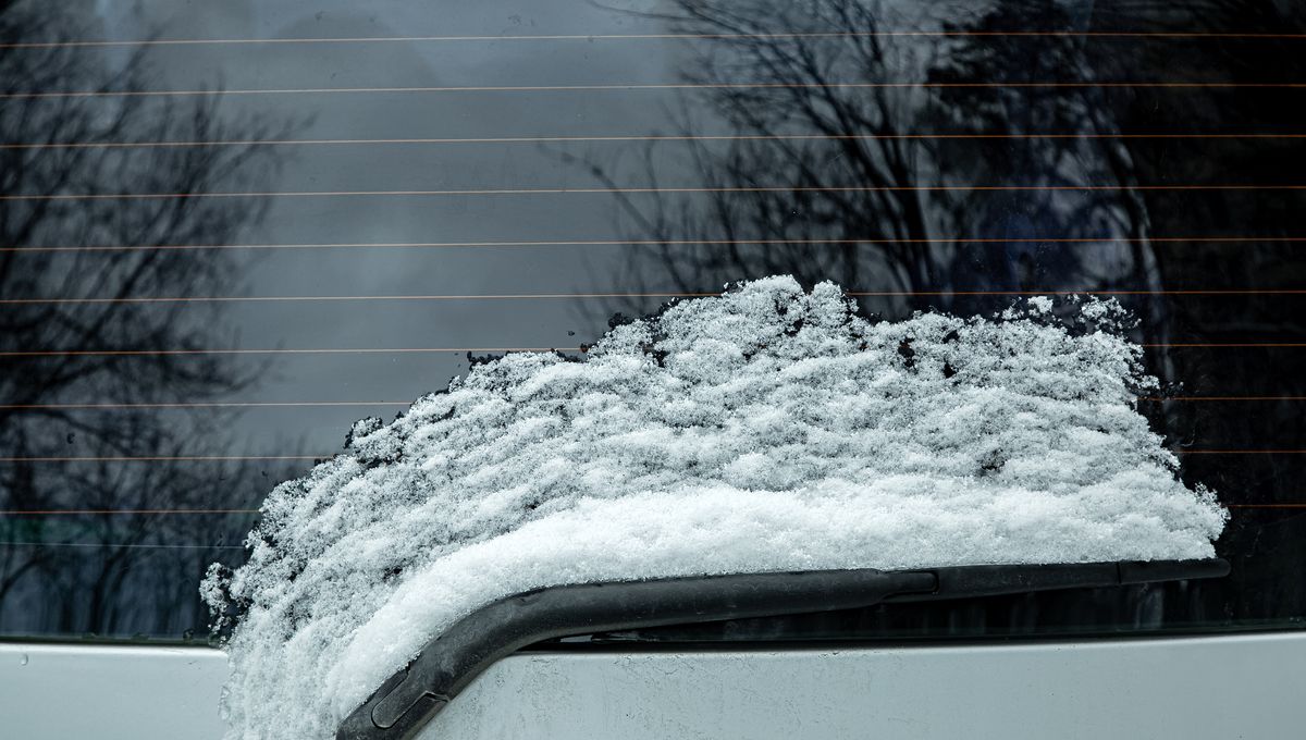 Why Do Some Cars Have Lines On The Rear Window? | IFLScience