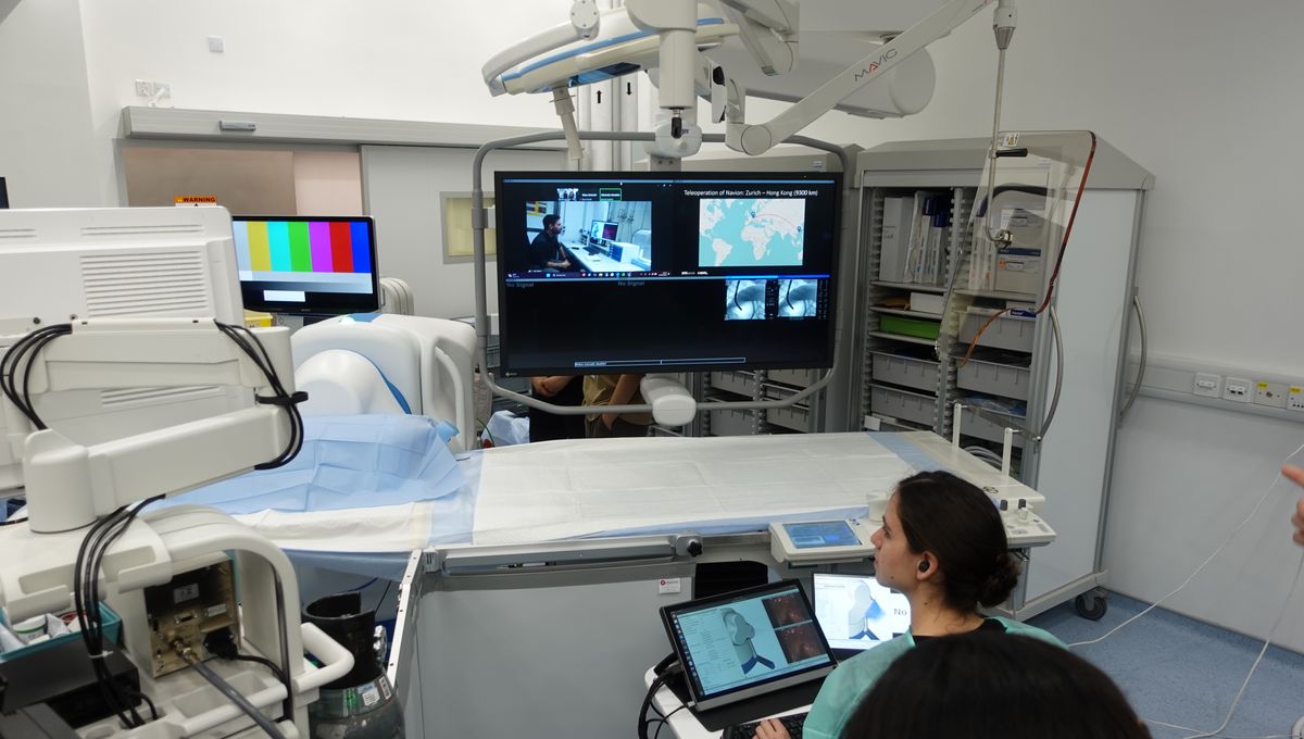 A Pig Just Had Surgery By A Team Operating 9,000 Kilometers Away ...