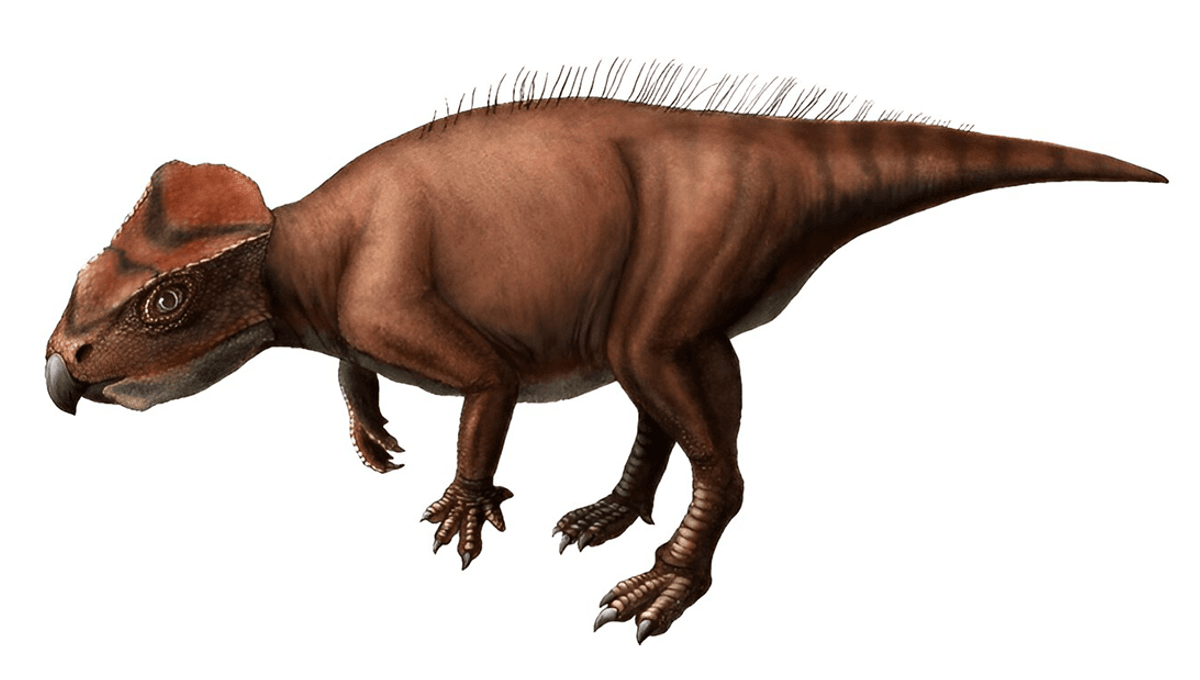 Newly Discovered Tiny Dinosaur Species Was A Real Weird Lil Guy ...