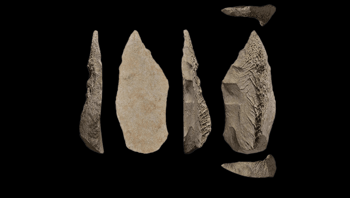 First Ever 50,000-Year-Old Neanderthal Bone Spear Point Shows They Were ...