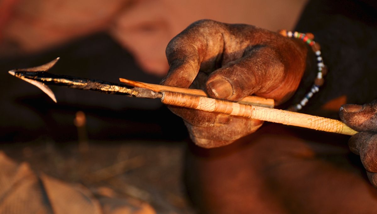 Palaeolithic Hunters May Have Used Poison Arrows 54,000 Years Ago | IFLScience