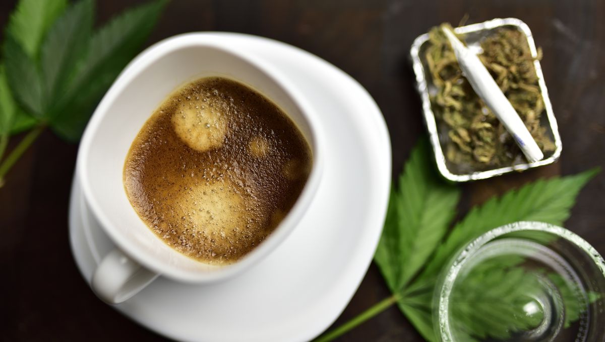 California Legalizes Fully-Fledged Cannabis Cafes | IFLScience