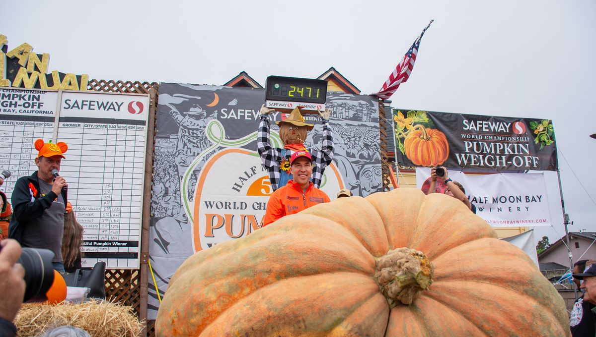 This Enormous Award-Winning Pumpkin Weighs The Same As 2 Grizzly Bears ...