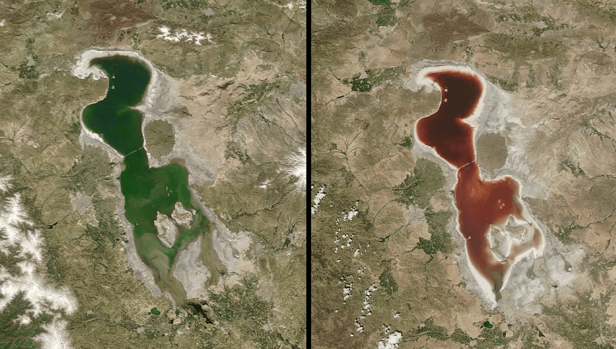 Why Did Lake Urmia Suddenly Turn Blood Red? | IFLScience