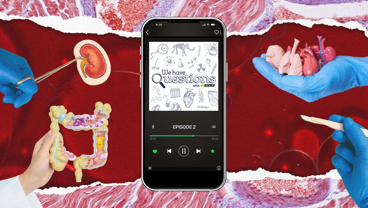 IFLScience We Have Questions: What's It Like Working In A Human Tissue ...