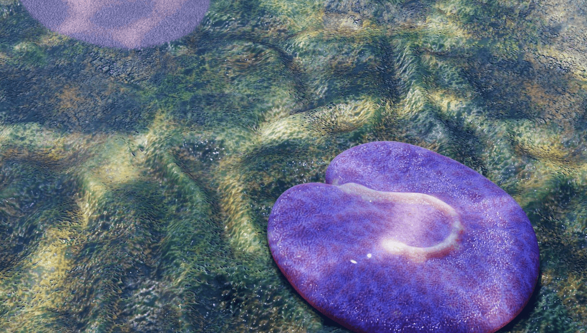 One Of The Earliest Moving Animals Had A Very Quizzical Shape | IFLScience