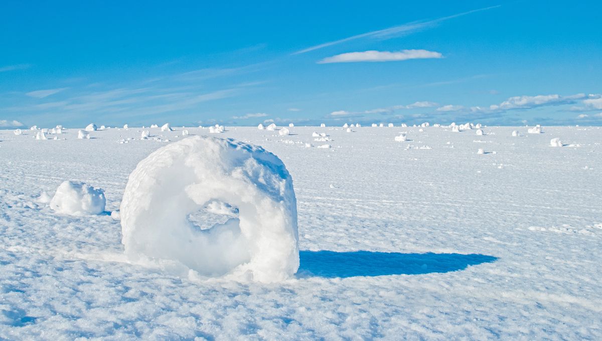 What Are Snow Rollers? | IFLScience