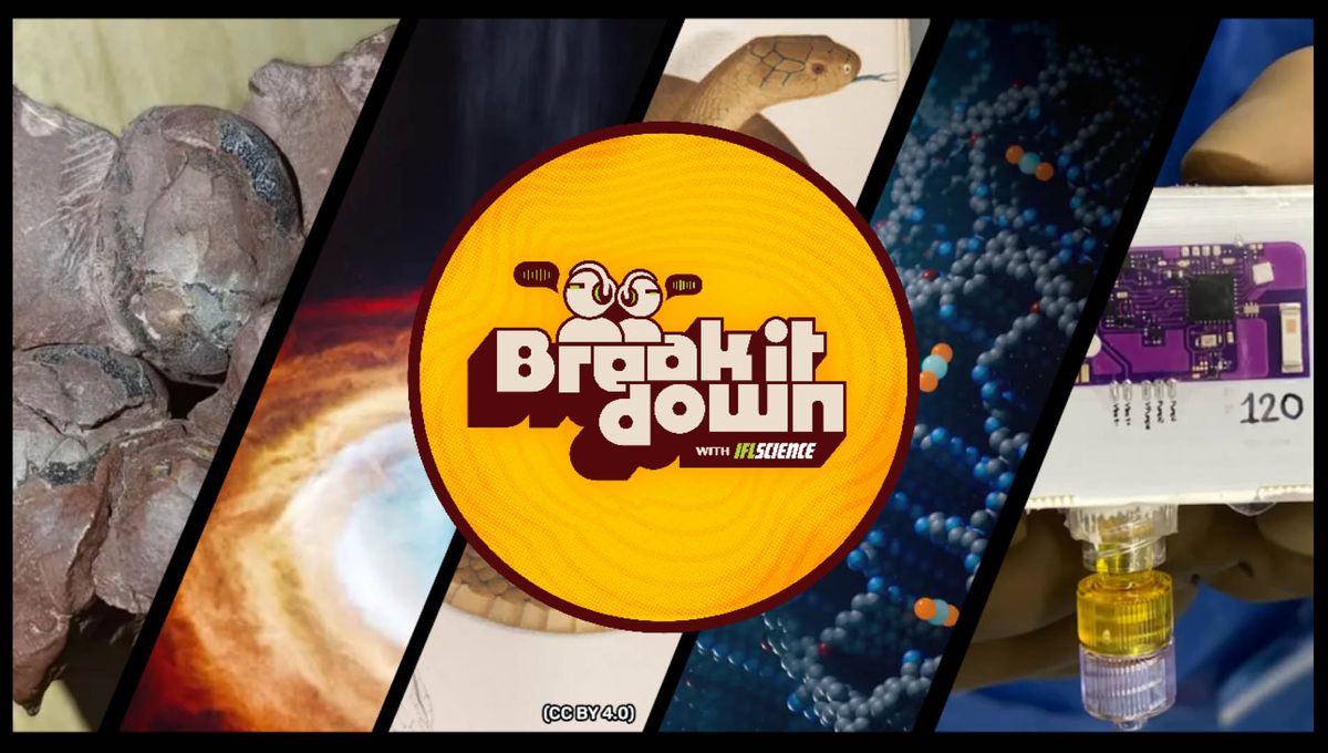 Tiniest Dino Eggs, Hungry Black Holes, And Why People Believe In Ghosts | IFLScience