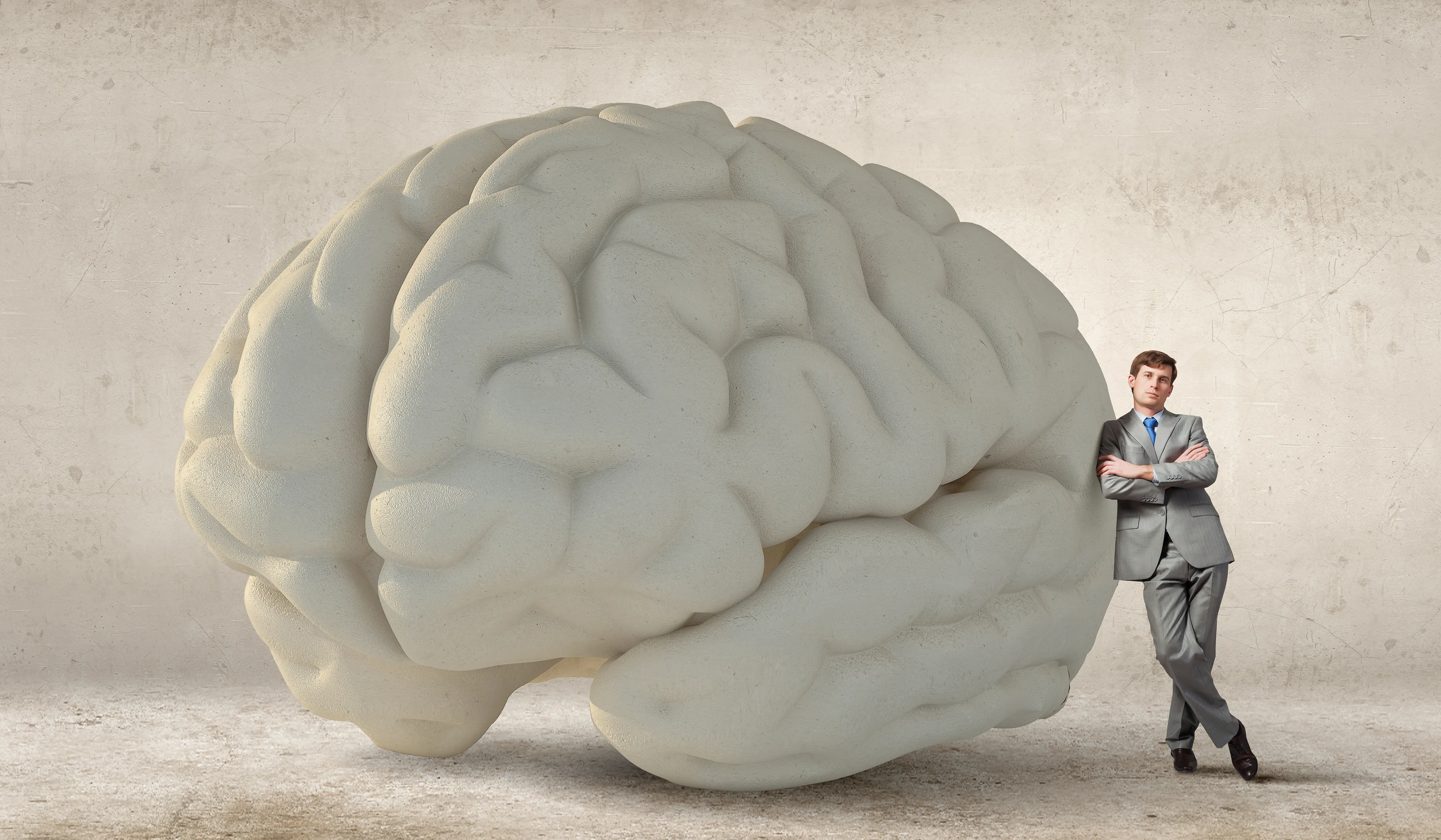 Largest Human Brain Humans Produce New Brain Cells Throughout Their