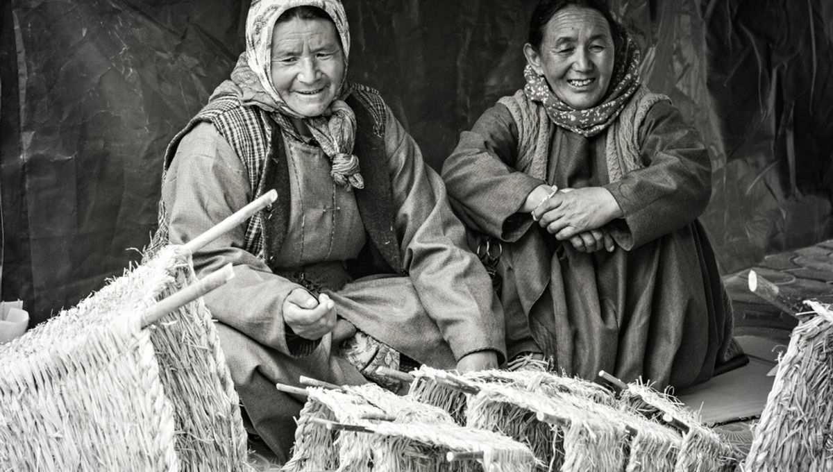 How Do We Know Evolution Is Still Happening Today? | IFLScience