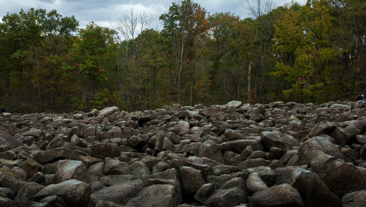 Ringing Rocks Park: What Makes These Rocks Sing? | IFLScience