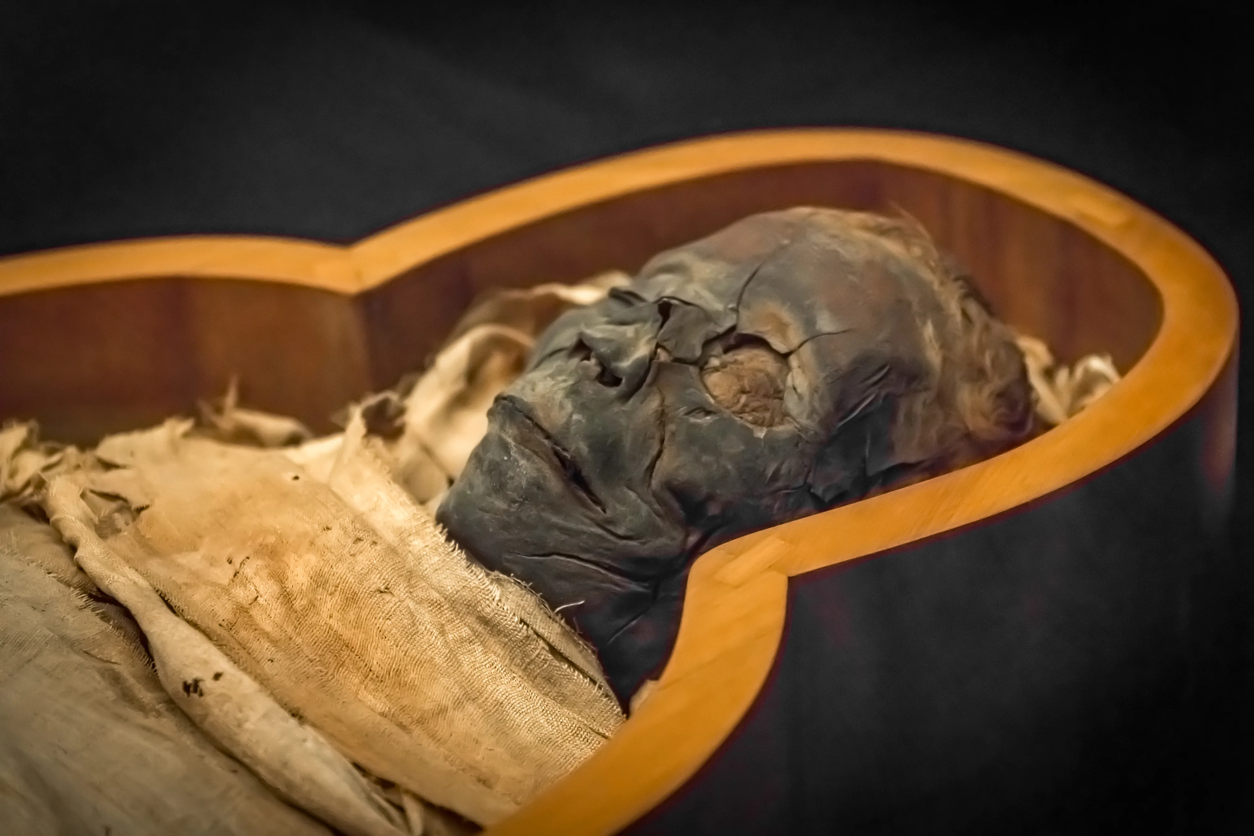 Black Mummy The History Of The Universal Monsters: 1932's 'The Mummy'