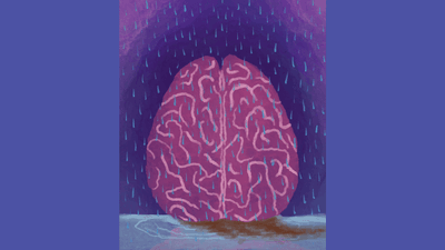 Snoozing Mice Reveal One Neurotransmitter Is Crucial For The Brain’s ...