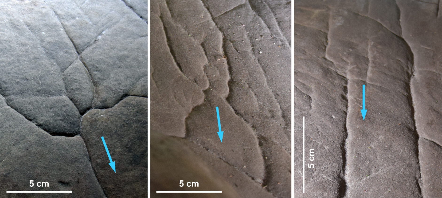 The World’s Oldest 3D Map Ma Accompany Sexually Suggestive Cave Art ...
