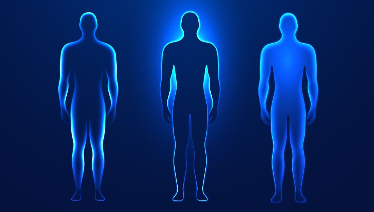 Does The Human Body Really Replace Itself Every 7 Years? | IFLScience