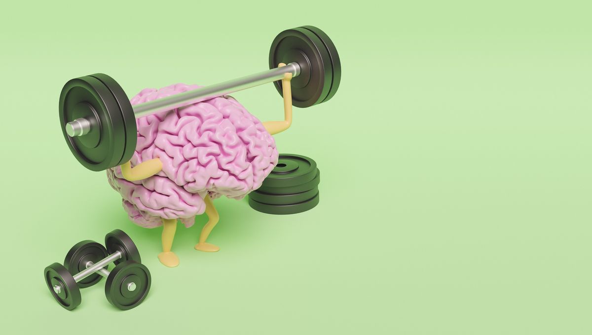 People Say The Brain Is A “Muscle”. Turns Out, It’s Kind Of True ...