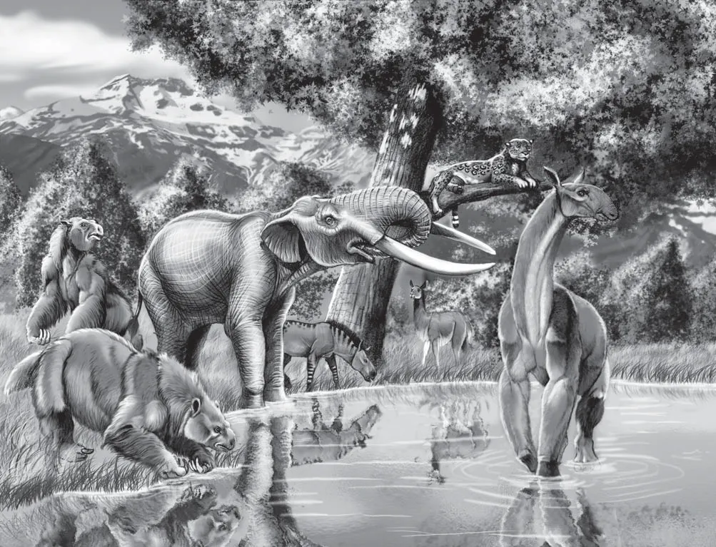 Pleistocene Megafauna List
