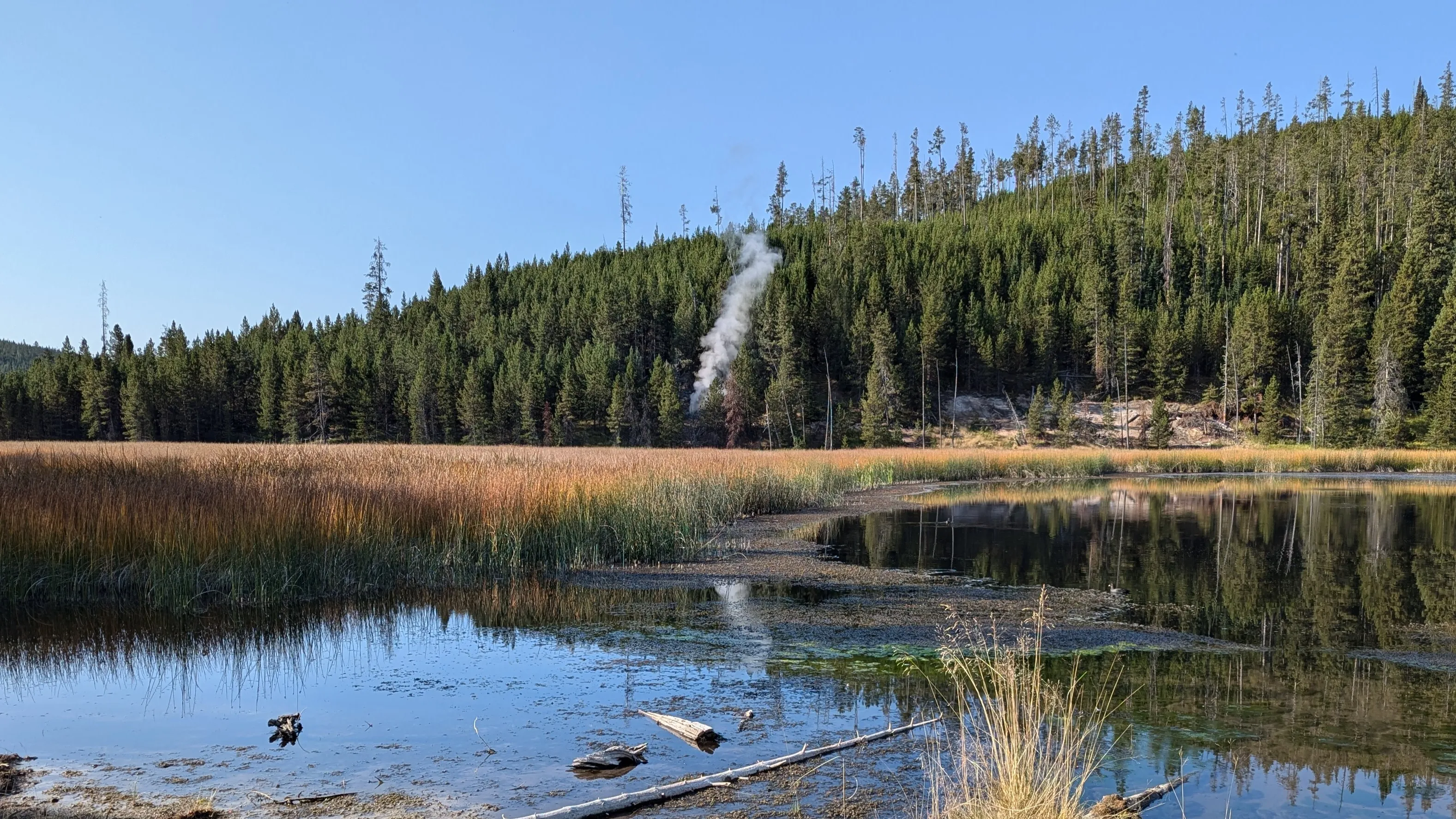 Tumbling Forest Waterflow Yellowstone National Park Journal