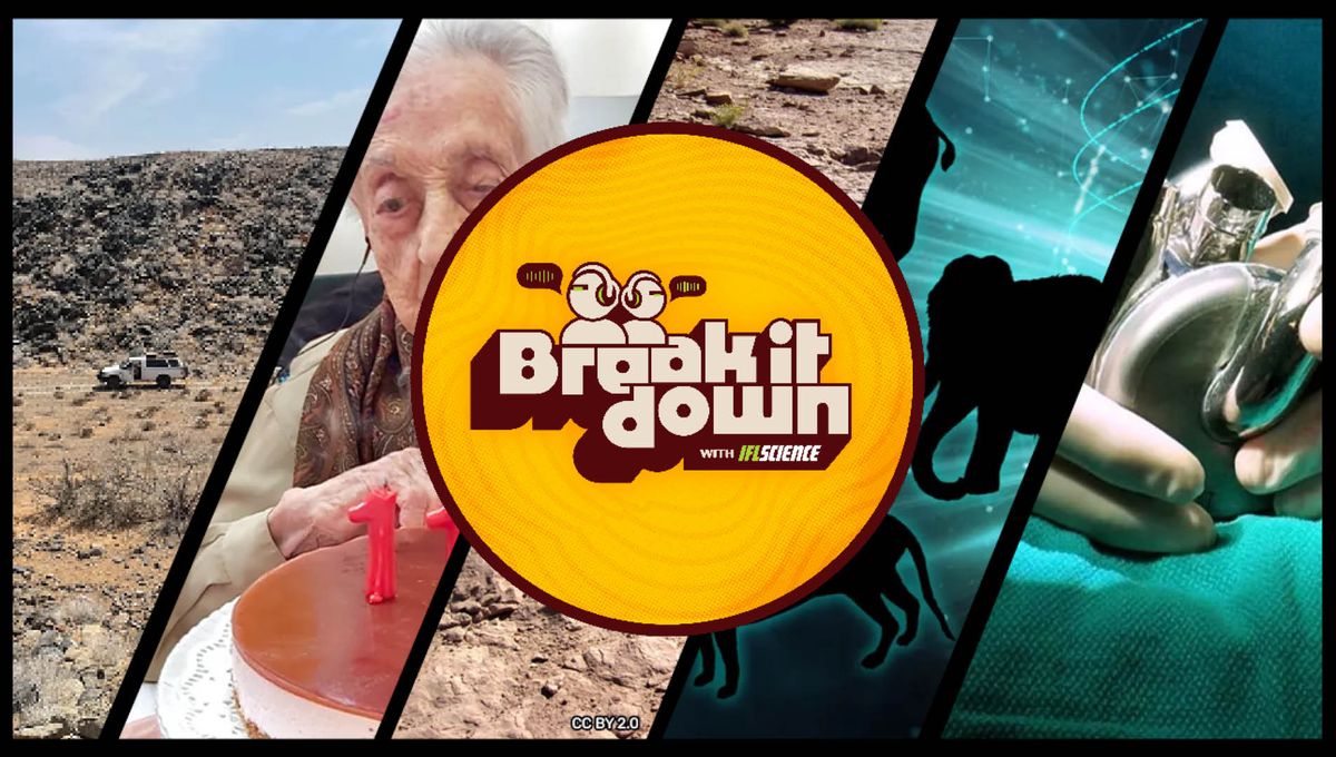 Unknown Lifeforms, How To Live To 117, And Handstanding Sauropods ...