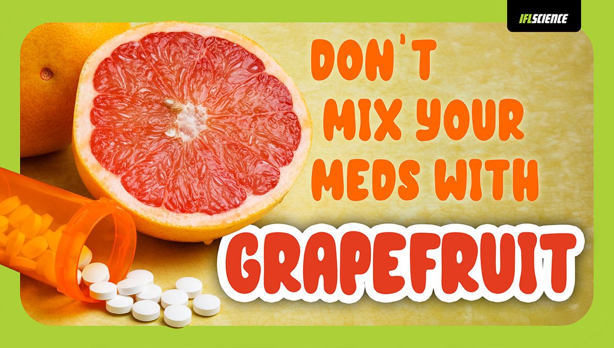 How Can Grapefruit Affect Your Medication? | Video | IFLScience