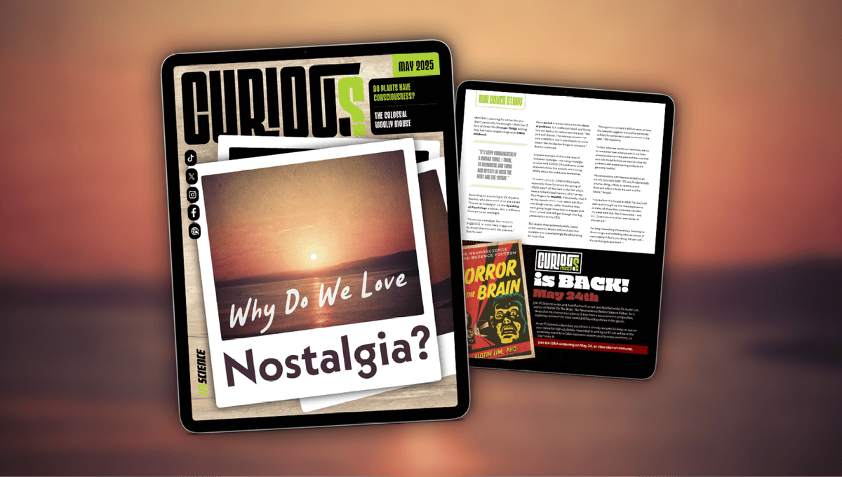 Why Do We Love Nostalgia? Find Out More In Issue 34 Of CURIOUS – Out Now | IFLScience