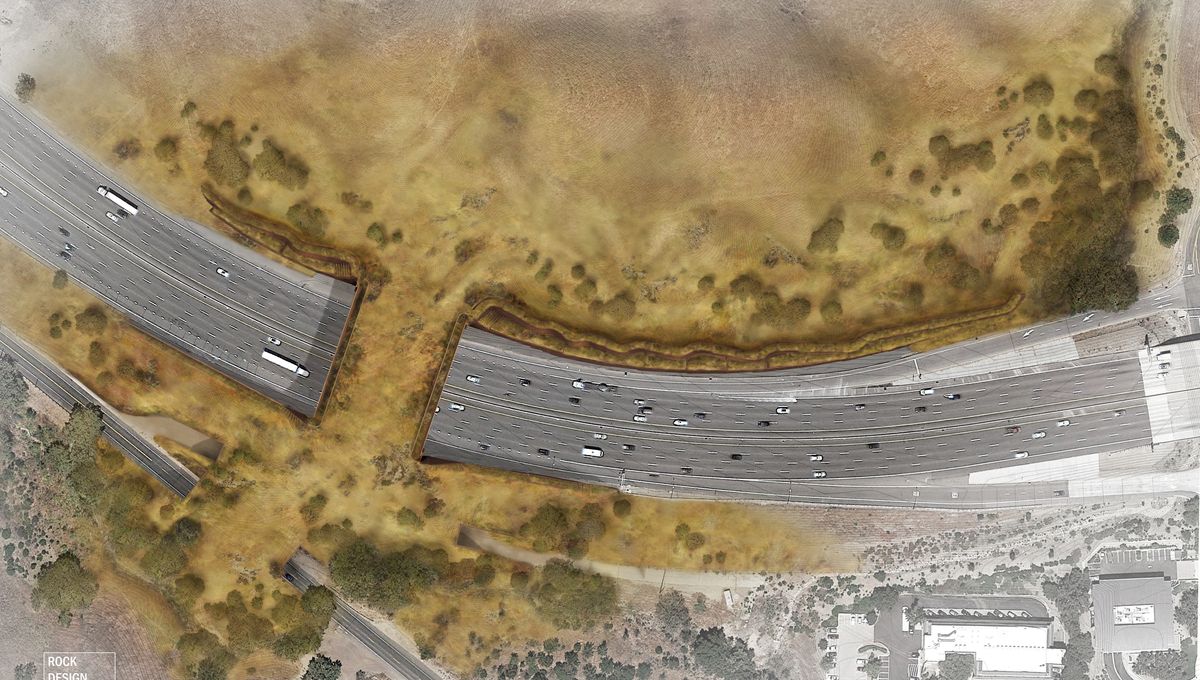 The World’s Largest Wildlife Crossing Spans Over 60 Meters Across A Californian Freeway | IFLScience