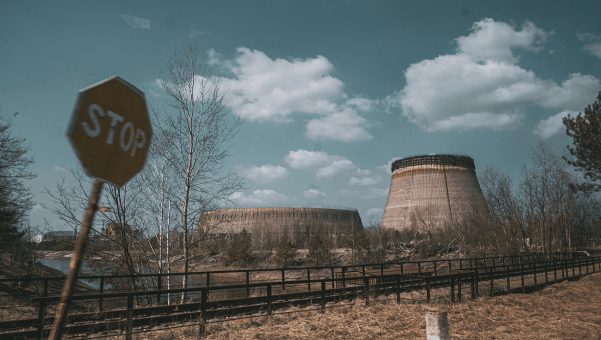 Up To 20,000 Hectares Of Land Around Chernobyl Can Now Be Safely Farmed ...