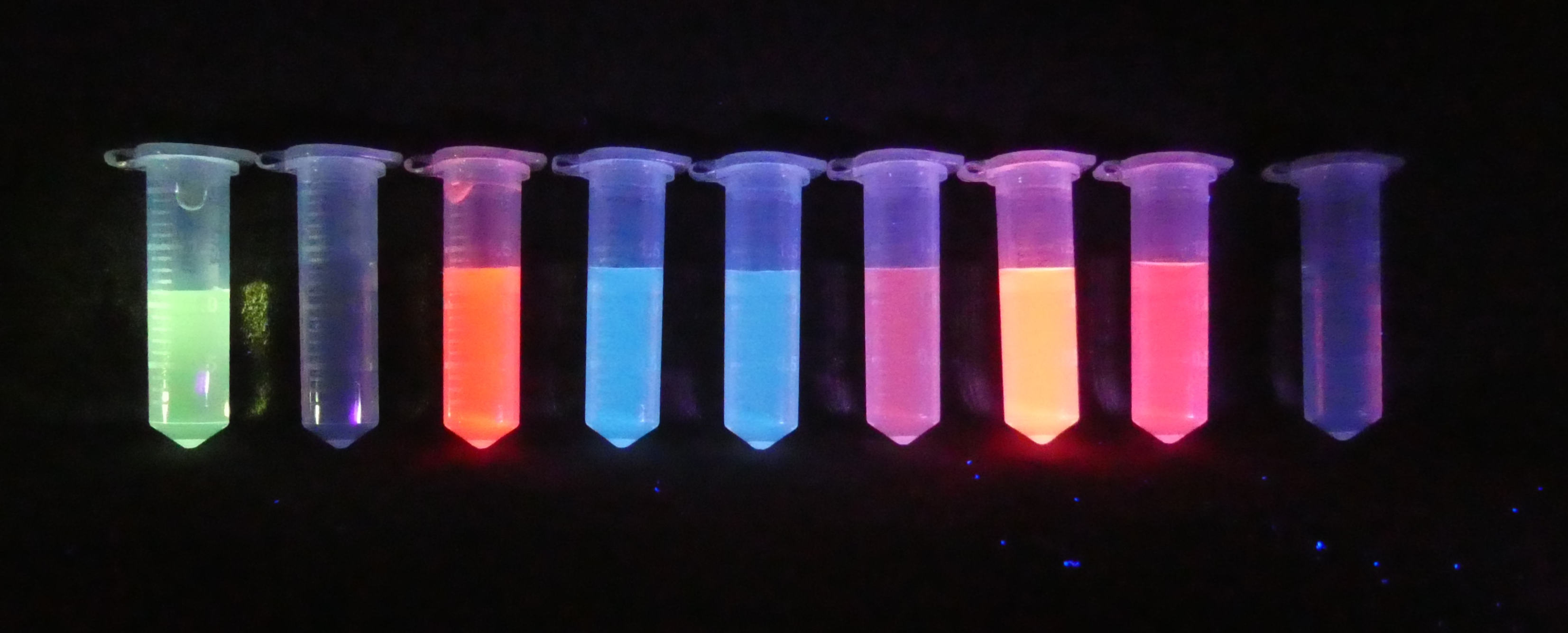 Australian Mammals’ Black Light Glow Is Caused By Several Different ...