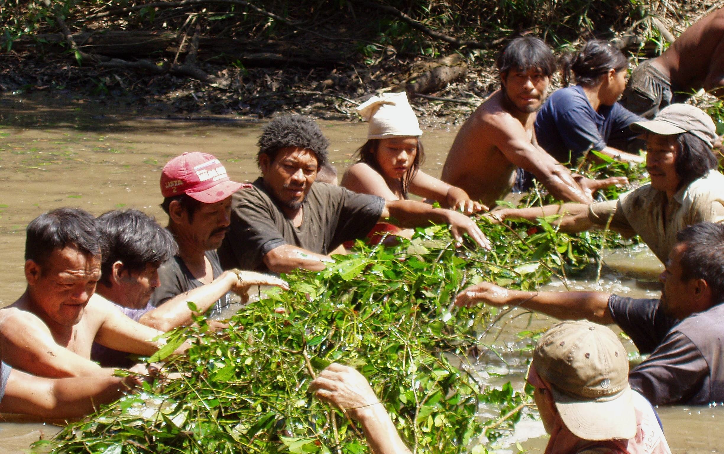 This Indigenous Tribe Has Tragically Forgotten How To Dance, Sing ...
