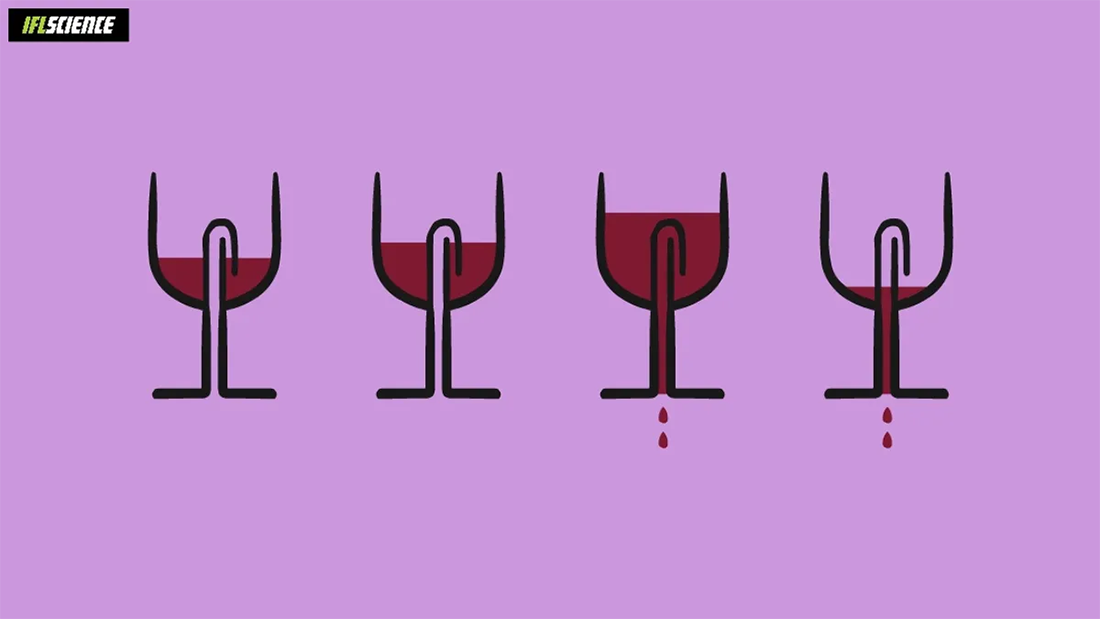 Pythagorean Cup: The Ancient Prank Siphon Which May Drain Your Toilet ...