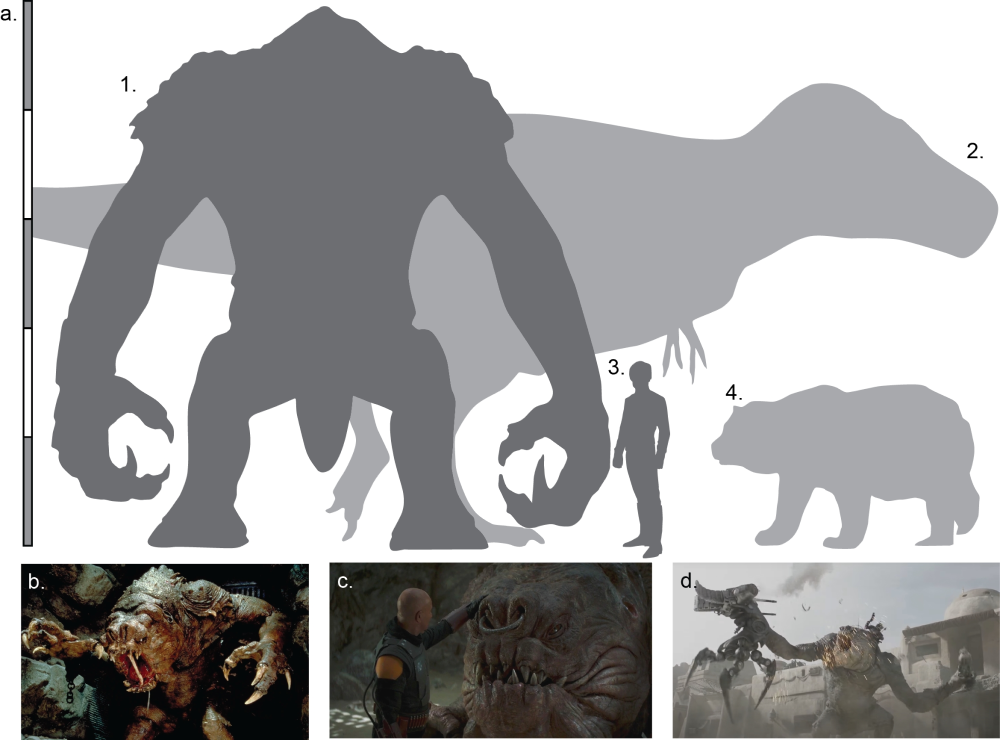 Bite Force Of Star Wars’ Rancor Is Not Science Fiction, With A Bone ...