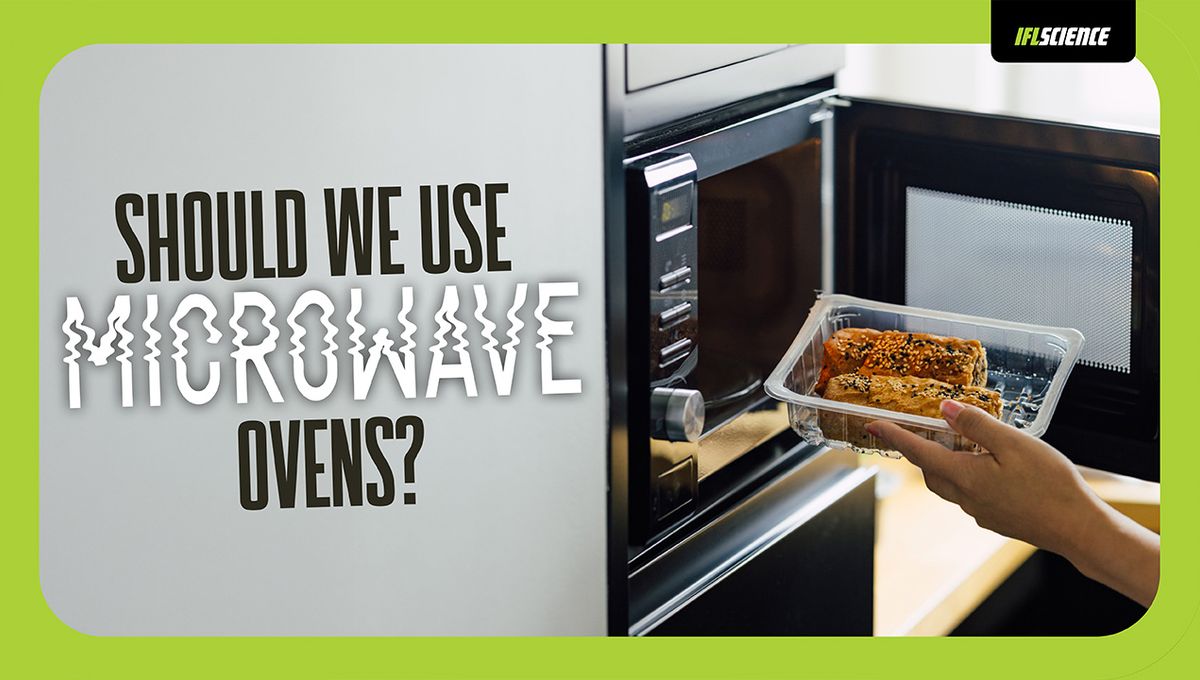 Should We Be Using Microwaves? | Video | IFLScience