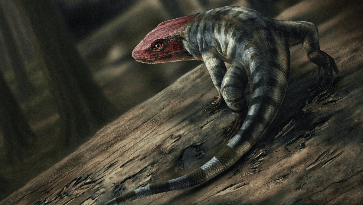 356-Million-Year-Old Fossil Trackway With Claw Marks Is Probably Oldest Evidence Of Reptiles ...