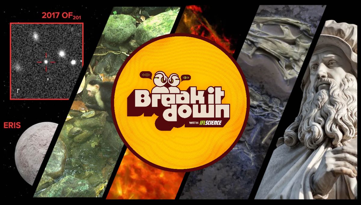 Capuchin Kidnappers, Spinosaurus Daddy, And A New Member Of The Solar System | IFLScience