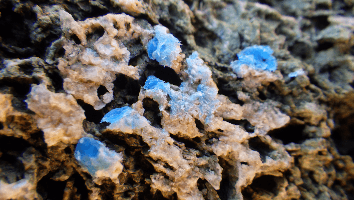 Plastic Rocks Are Being Found Along Earth's Shores In A "Terrifying ...