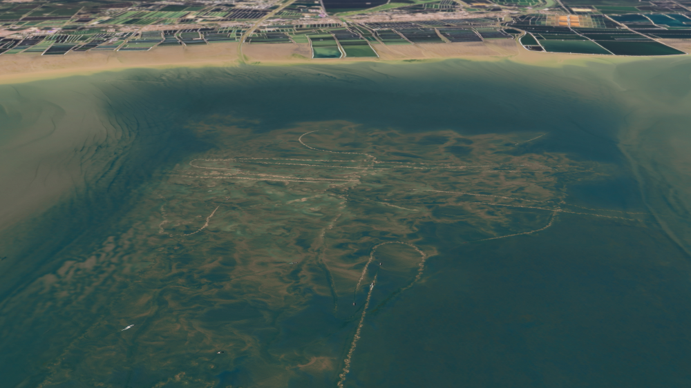 “Now, People Can See For Themselves”: Heartbreaking Footage Exposes ...