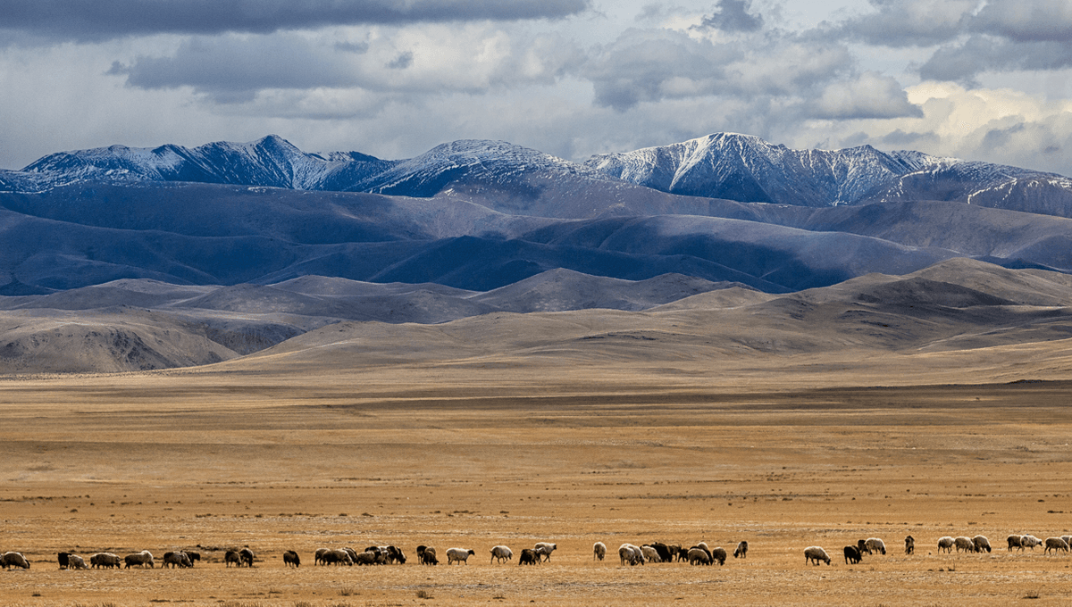 Mongolia's Medieval "Great Wall" System Was Not Built For Military ...