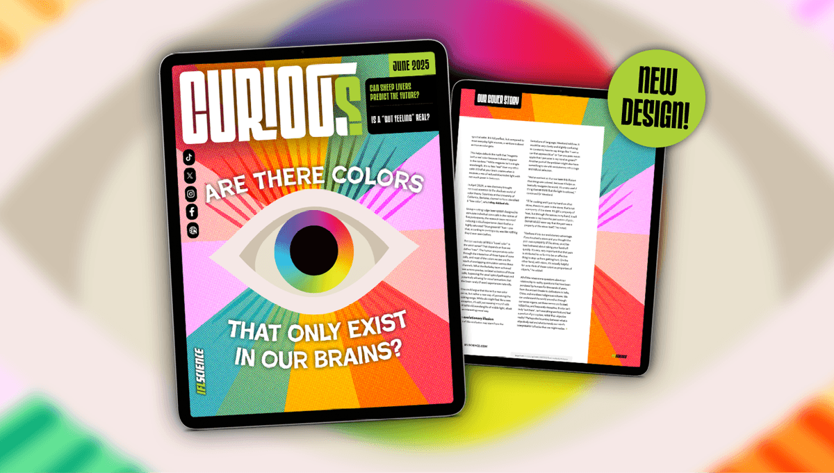 Are There Colors That Only Exist In Our Brains? Find Out More In Issue 35 Of CURIOUS – Out Now ...